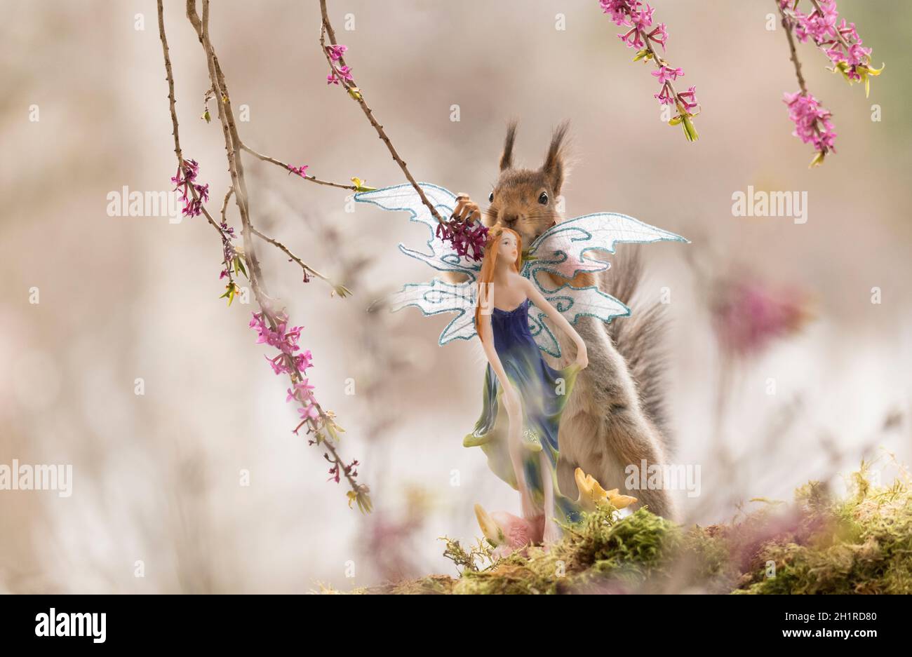 Fairy tale squirrel hi-res stock photography and images - Alamy