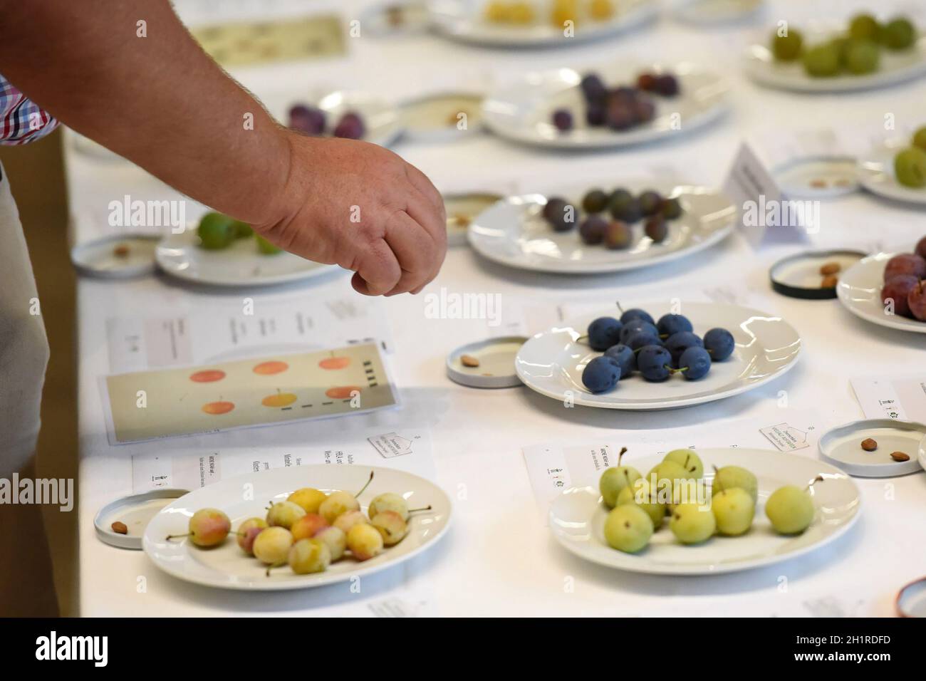 Zwetschke hi-res stock photography and images - Alamy