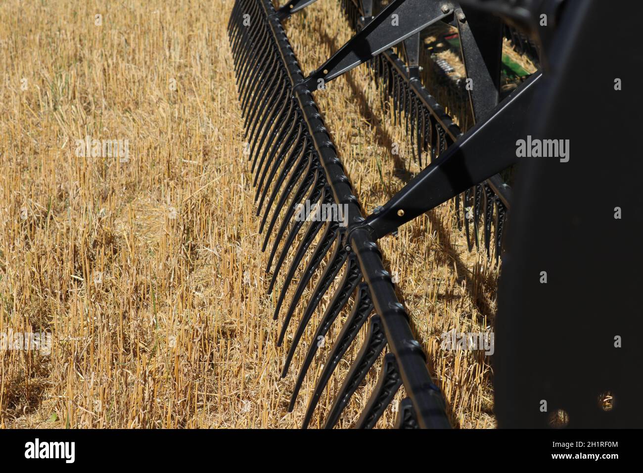 BONNYVILE, ALBERTA, CANADA - SEPTEMBER 12, 2020: Closeup view of John ...