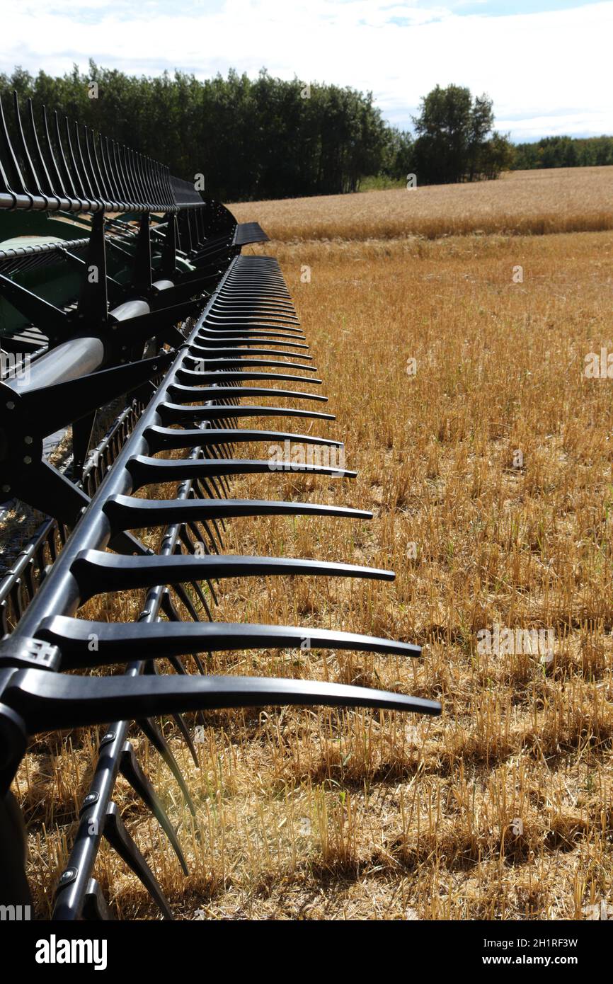 Reap reel hi-res stock photography and images - Alamy