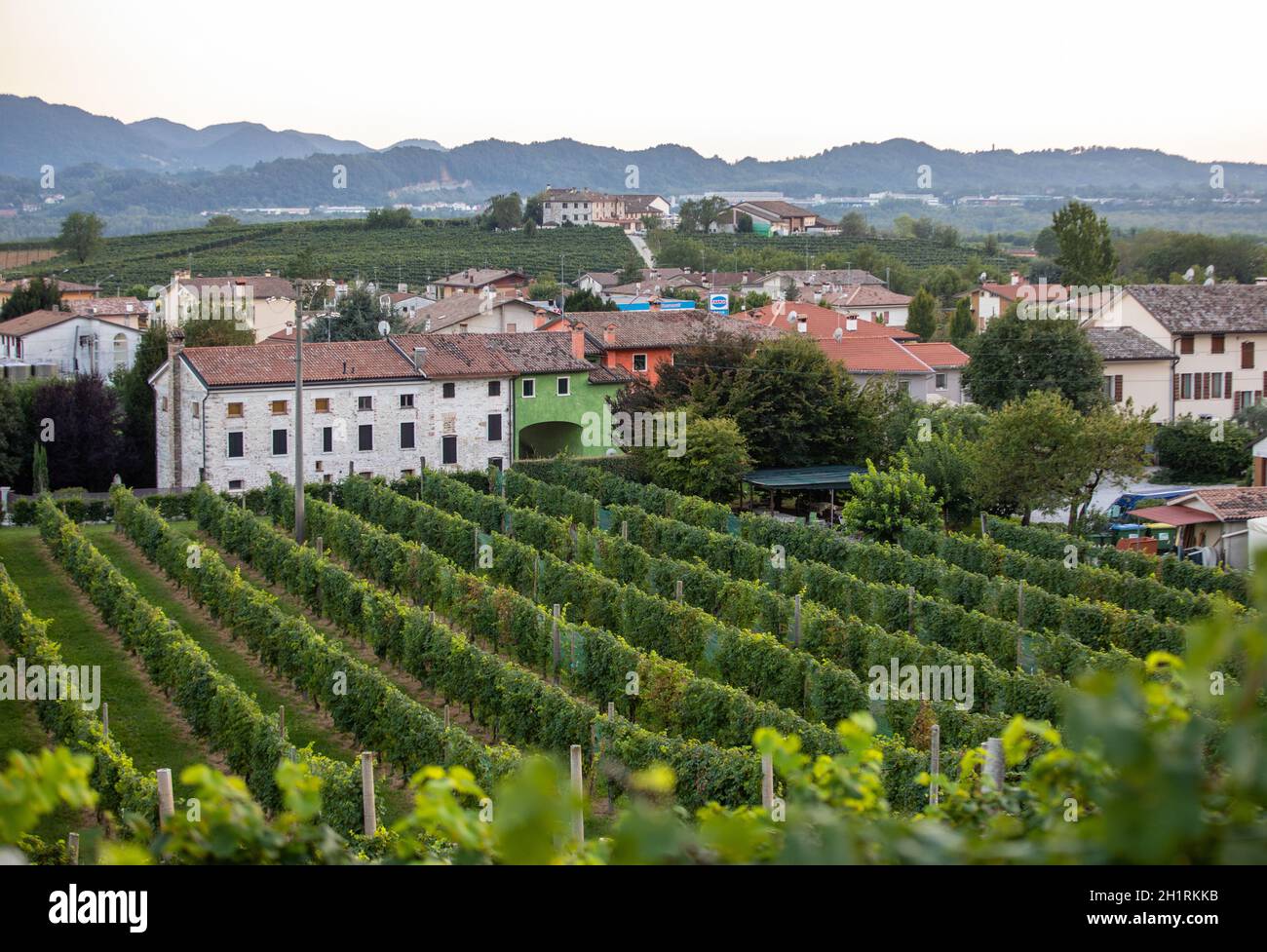 Picturesque hills with vineyards of the Prosecco sparkling wine region ...