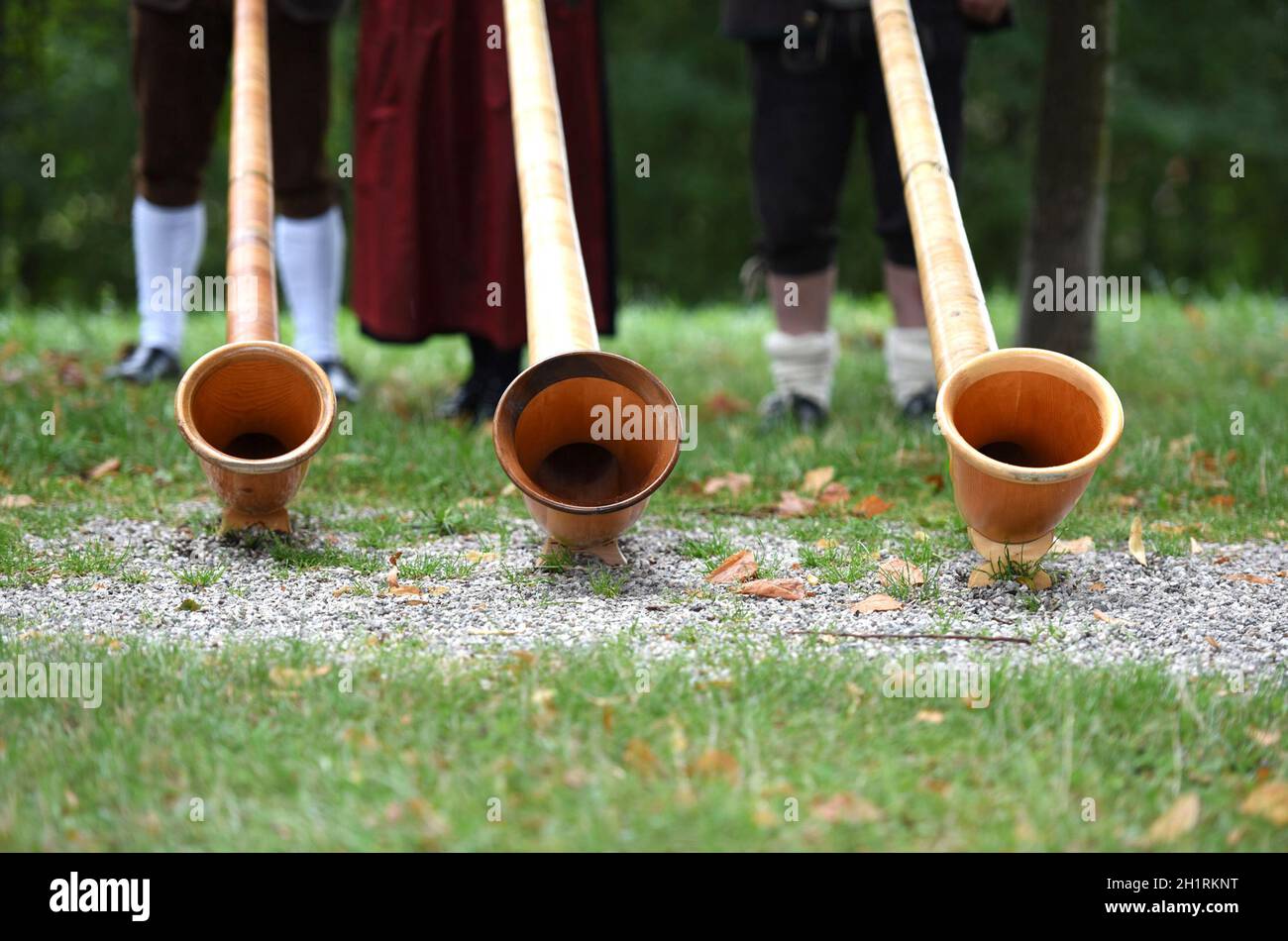 Das "Alphorn" ist ein mehrere Meter langes hölzernes Musikinstrument ...