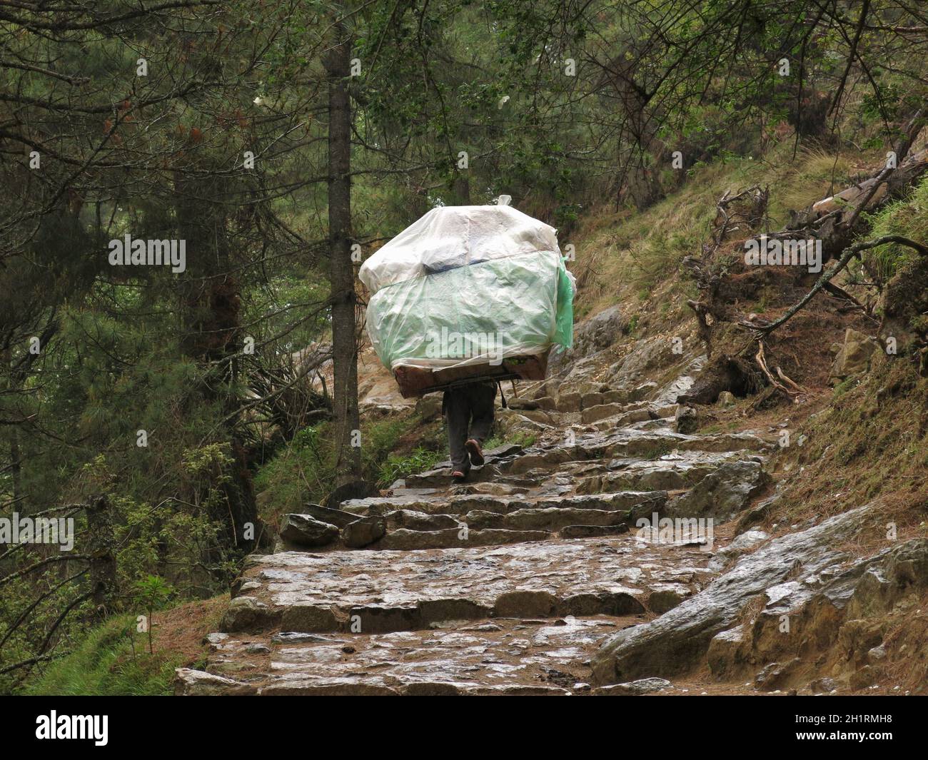 Porter carrying a heavy load in the Everest Region Stock Photo - Alamy