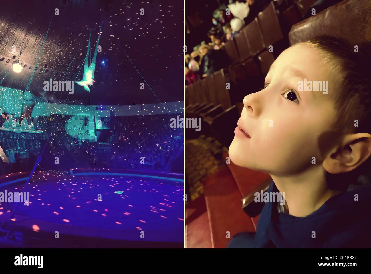 Portrait of astonished child at a circus. Concept of little spectator ...