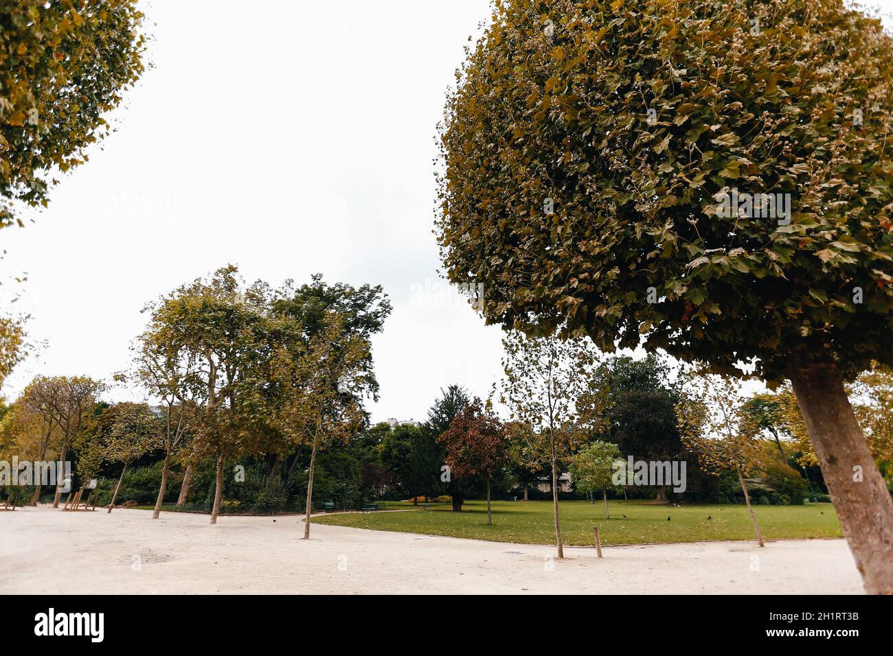 Beautiful park path with trees and grass around. High quality photo ...