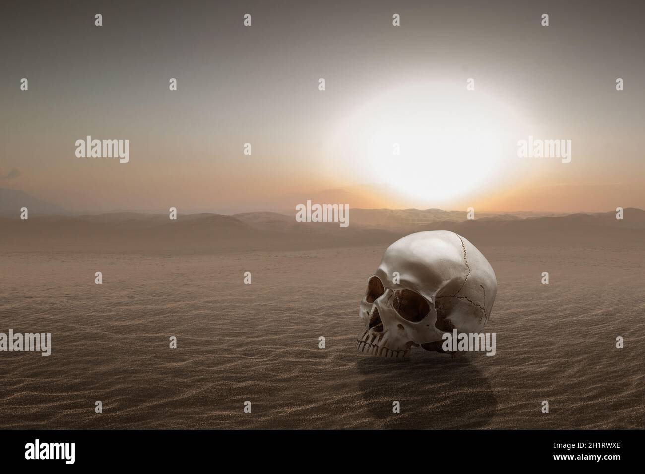 Human skull on the sand dune with the dramatic scene background Stock ...
