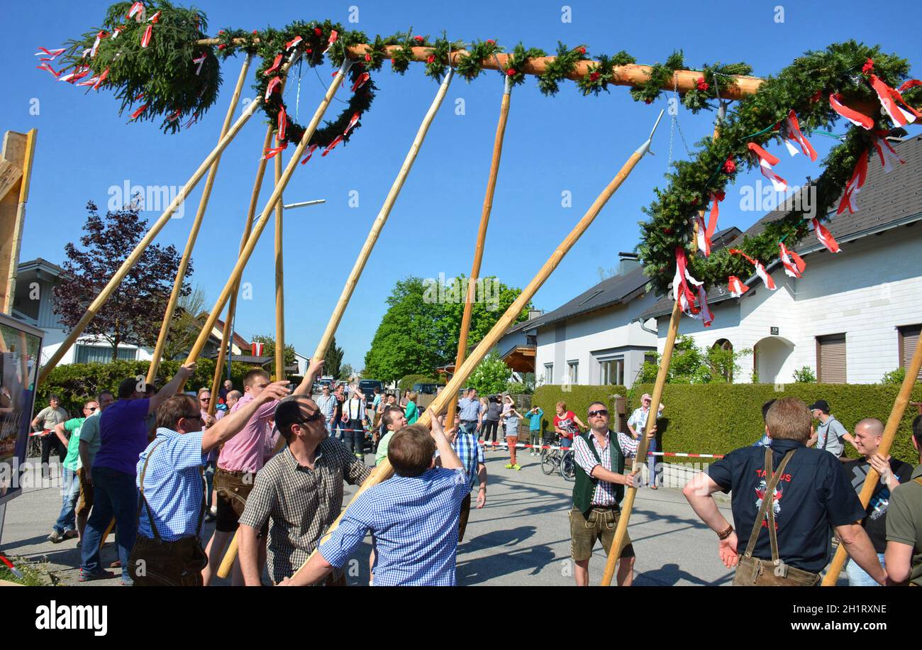 Maibaum-Aufstellen in Österreich - Ein Maibaum ist ein geschmückter ...