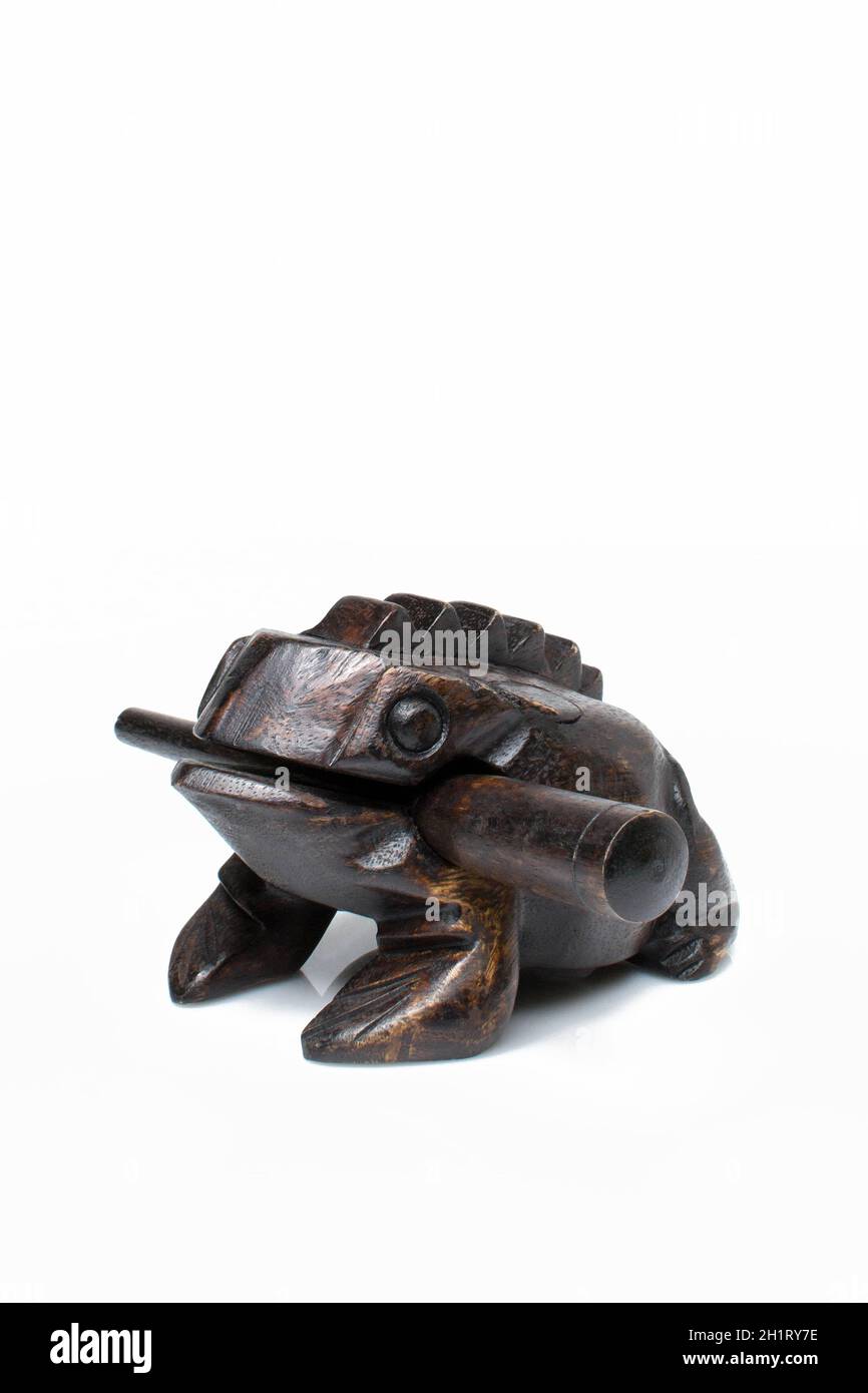 Thai frog from a tree on a white background Stock Photo - Alamy