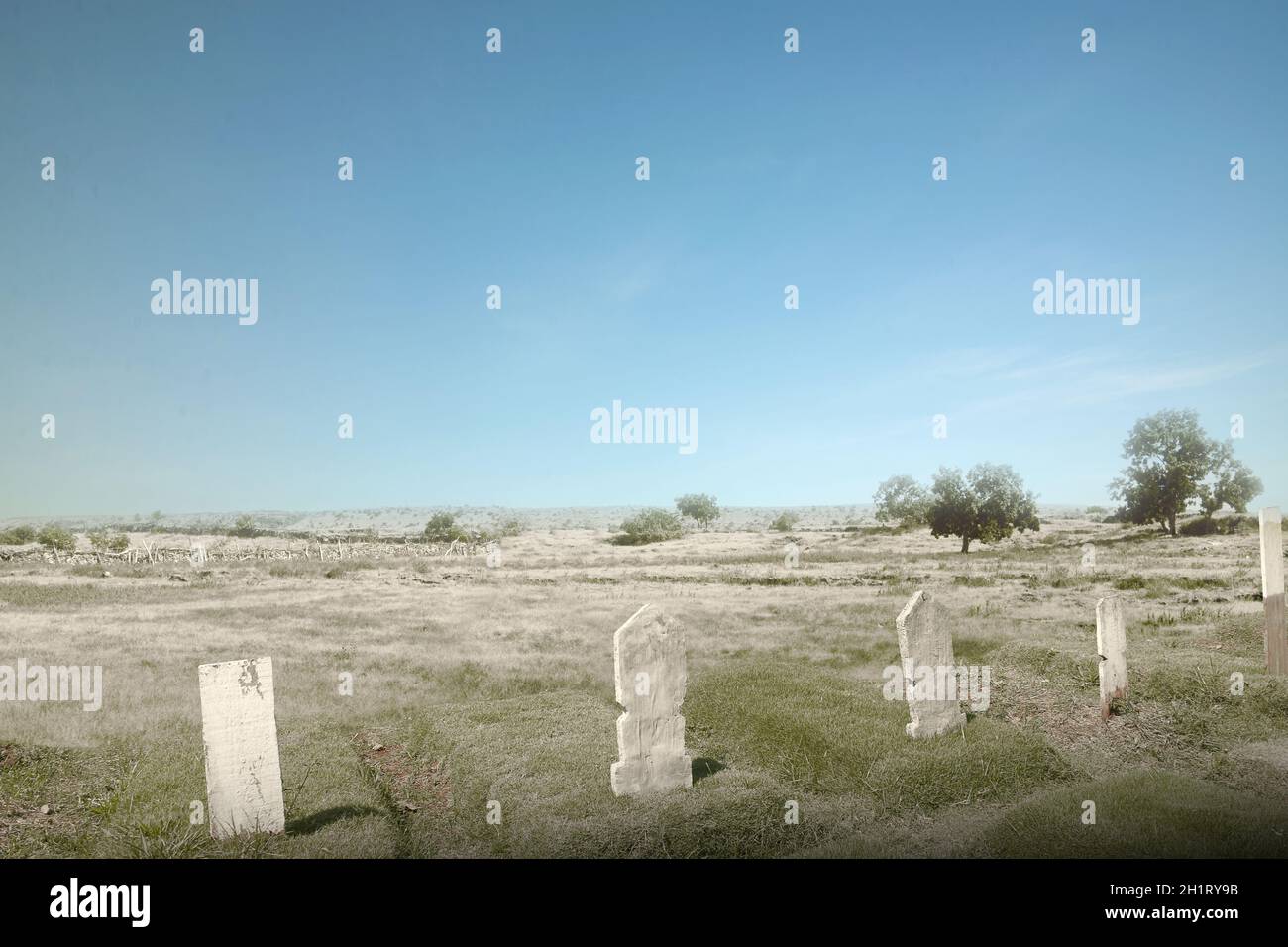 Cemetery with trees and many tombstones on a bright day Stock Photo - Alamy