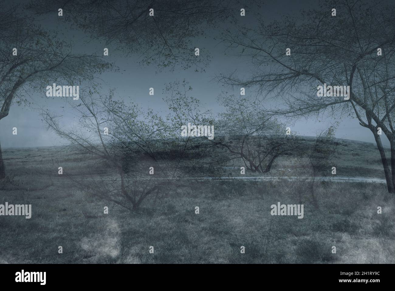 Field with the dramatic scene background Stock Photo - Alamy