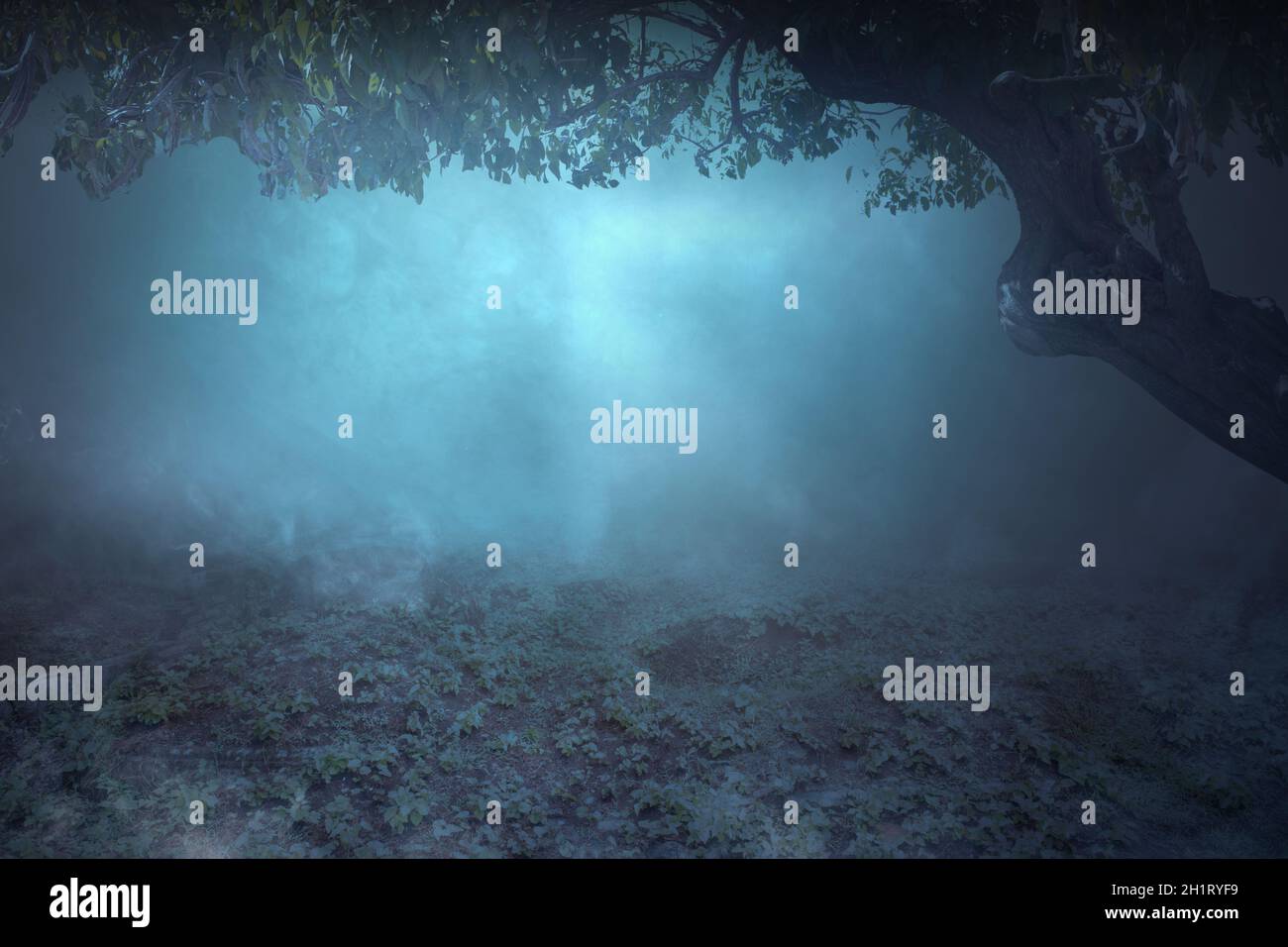 Field with the dramatic scene background Stock Photo - Alamy