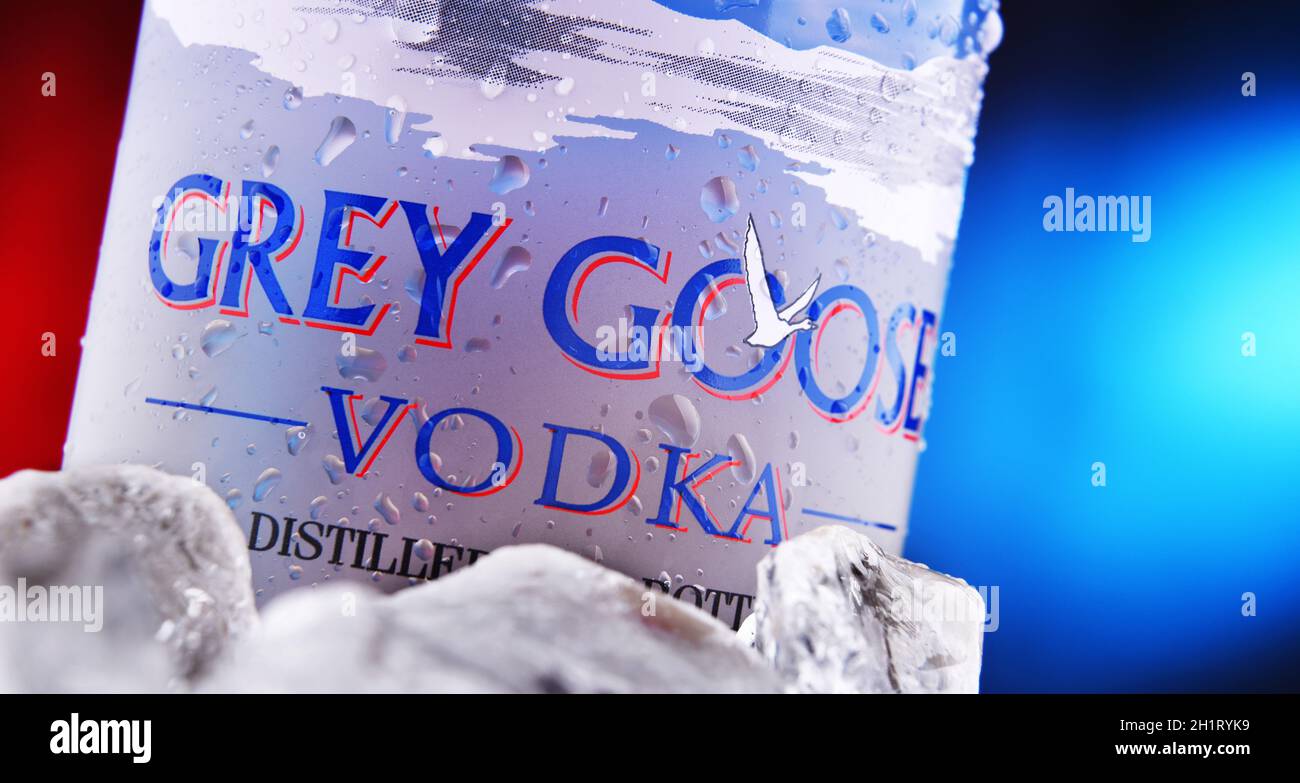 POZNAN, POL - JAN 28, 2021: Bottle of Grey Goose, a brand of French ...