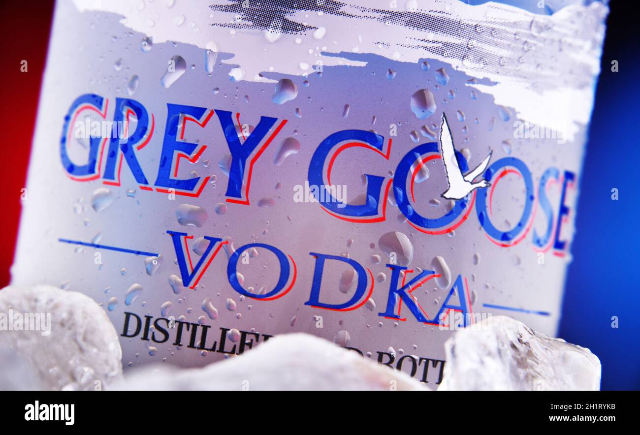 Grey Goose Vodka Logo Vector