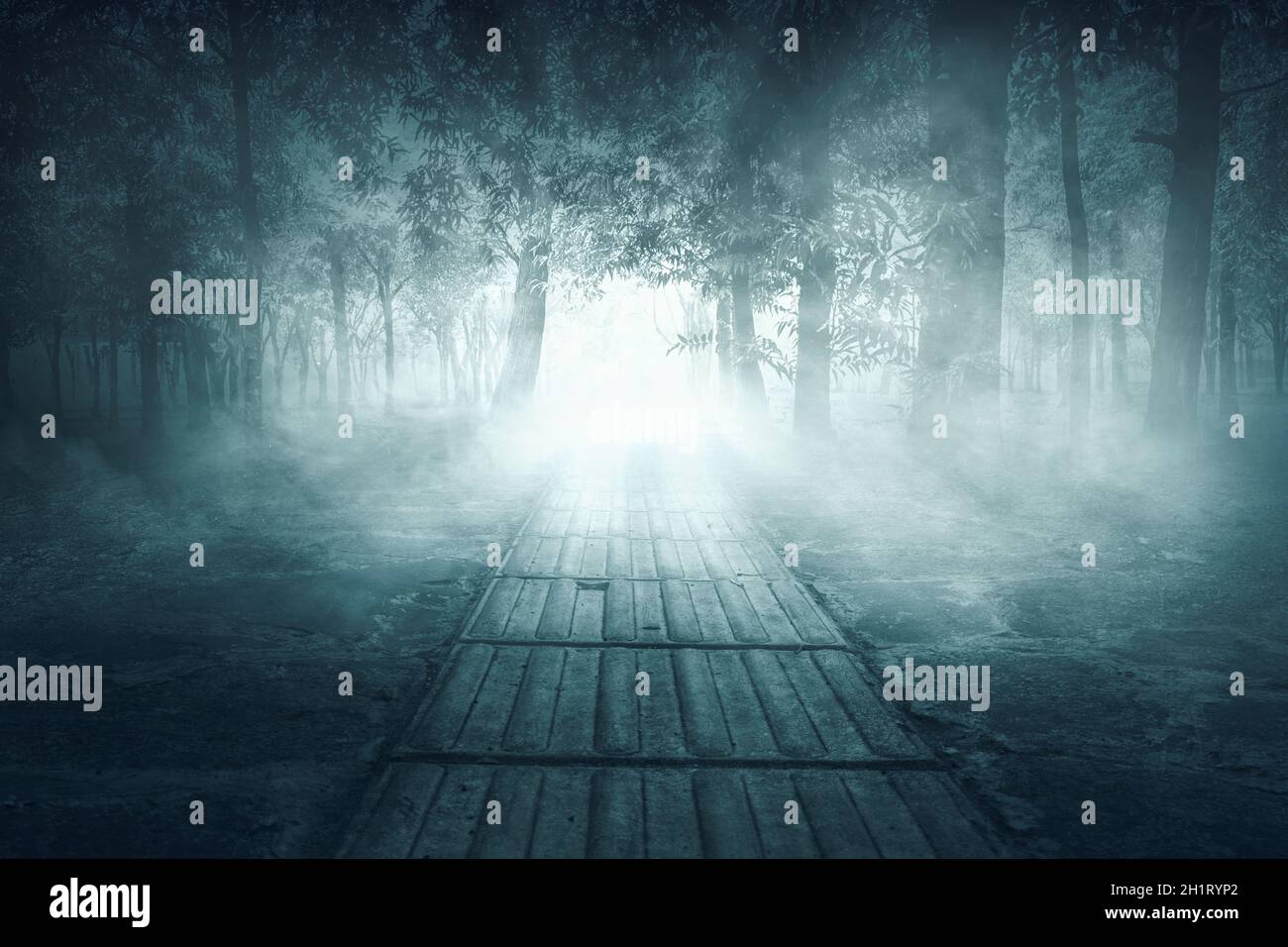 Pathway with trees and thick fog background Stock Photo - Alamy