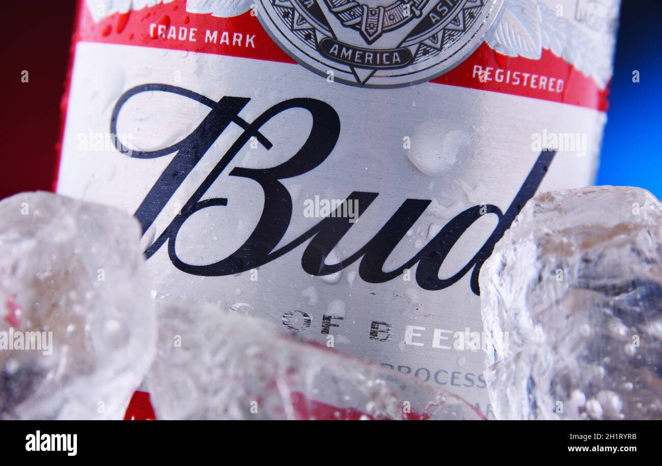 Bud beer hi-res stock photography and images - Alamy