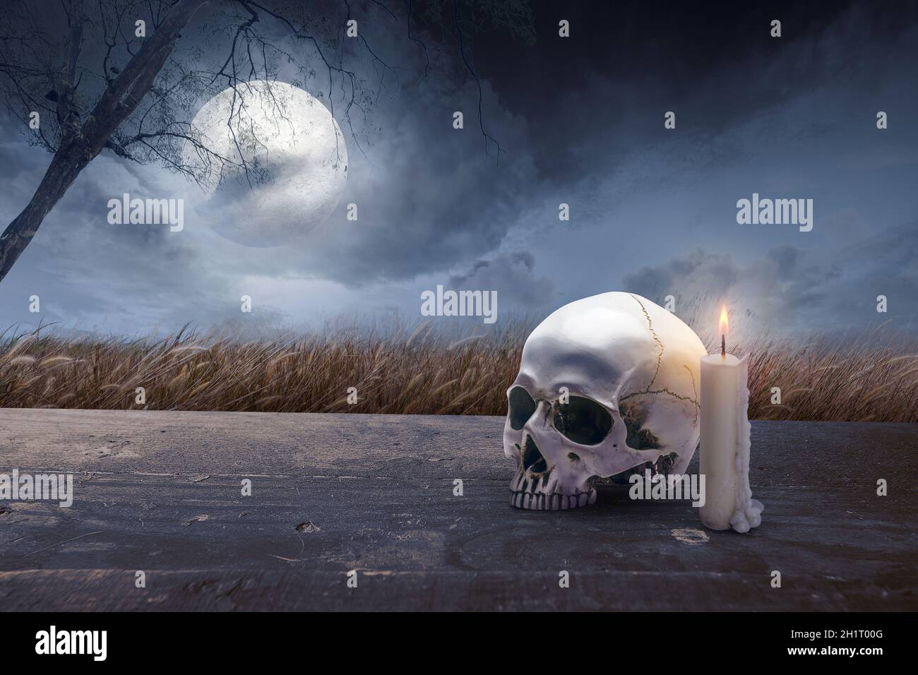 Human skull on wooden table with candle and night scene background ...