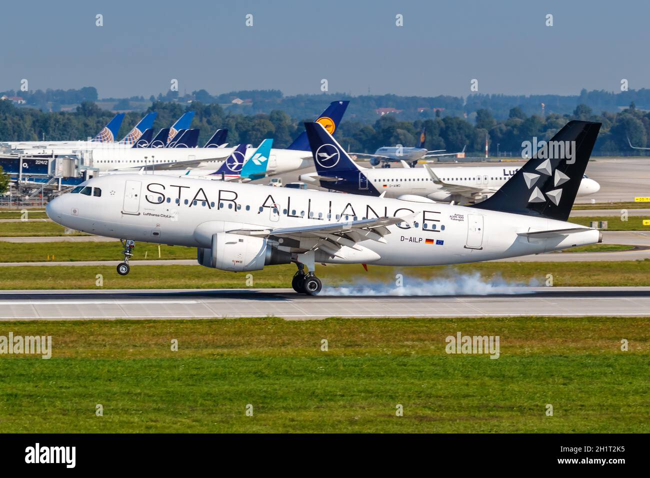 Star Alliance Lufthansa