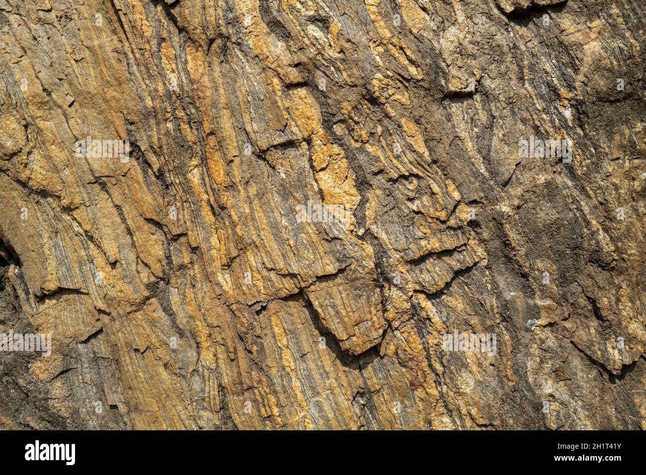 Details of striated rock by the side of the road in Idaho, USA Stock ...