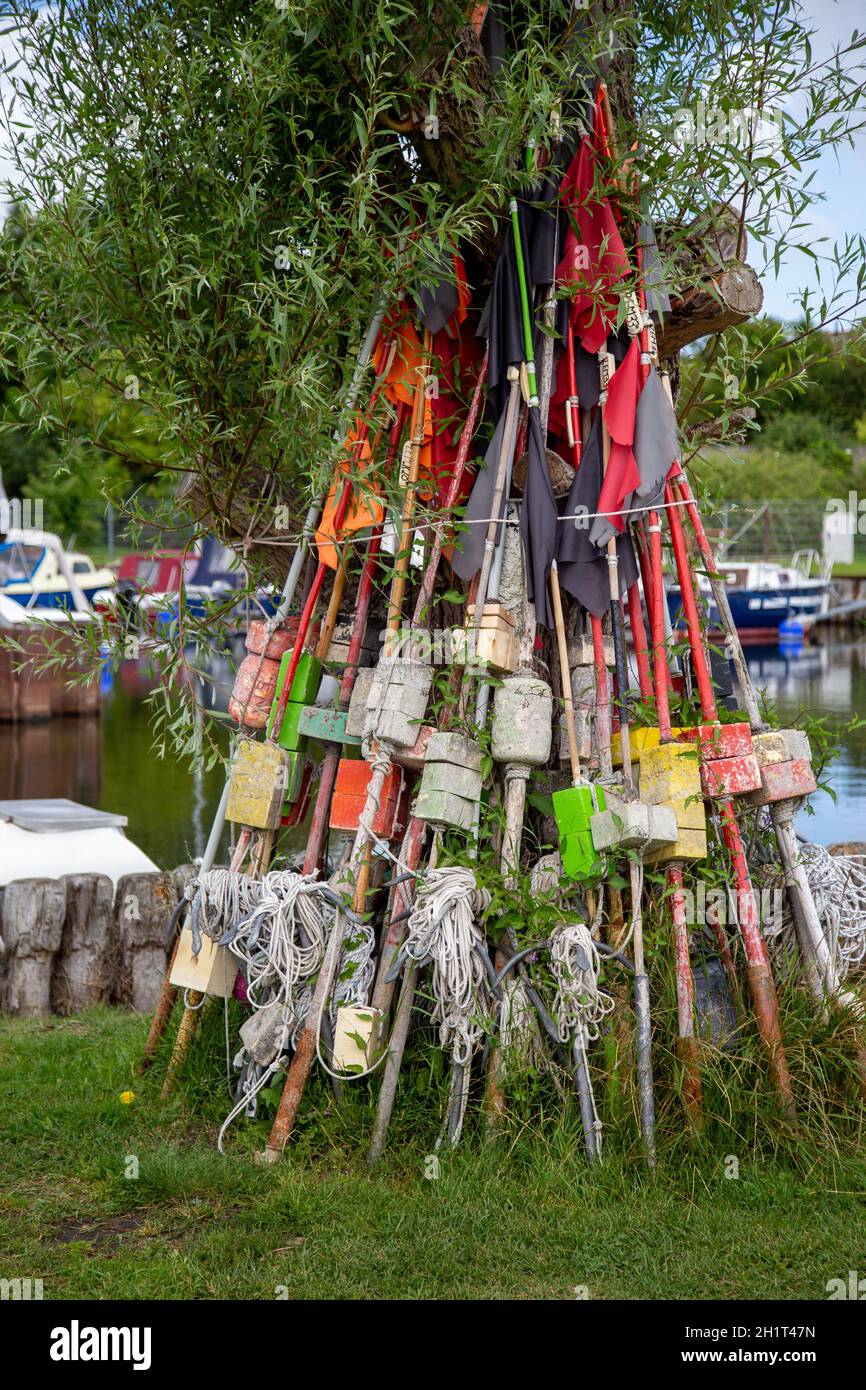 Poles and flags for marking fish traps lean against a tree in the ...