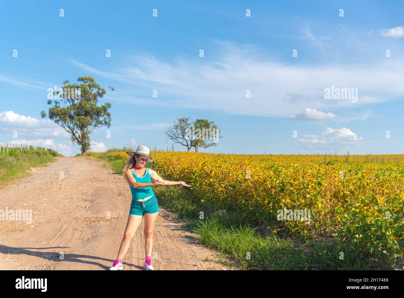 Brazilian woman dressed in blue showing a soybean plantation. Lifestyle ...