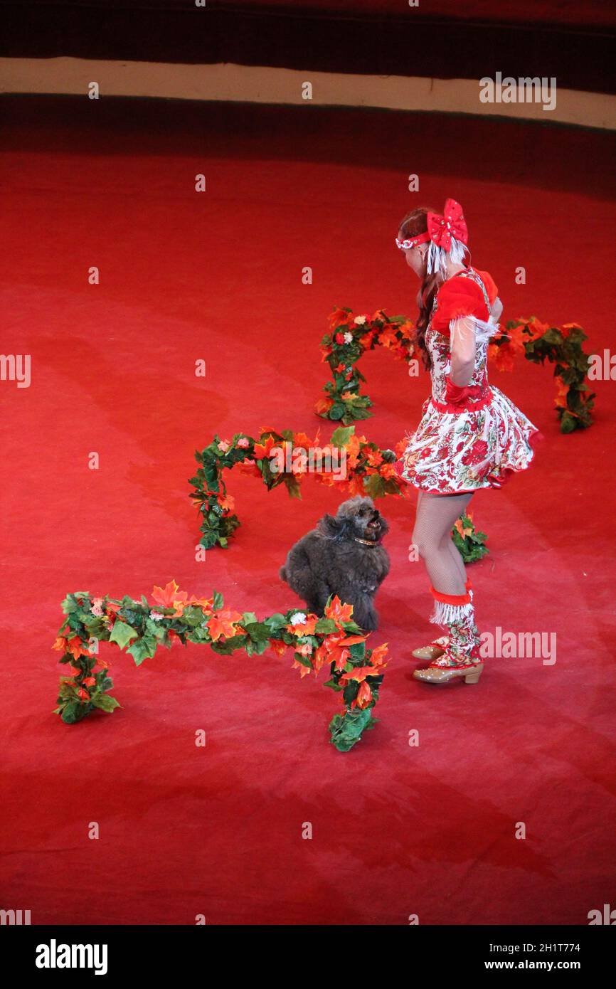 Two Dogs Dance High Resolution Stock Photography and Images - Alamy