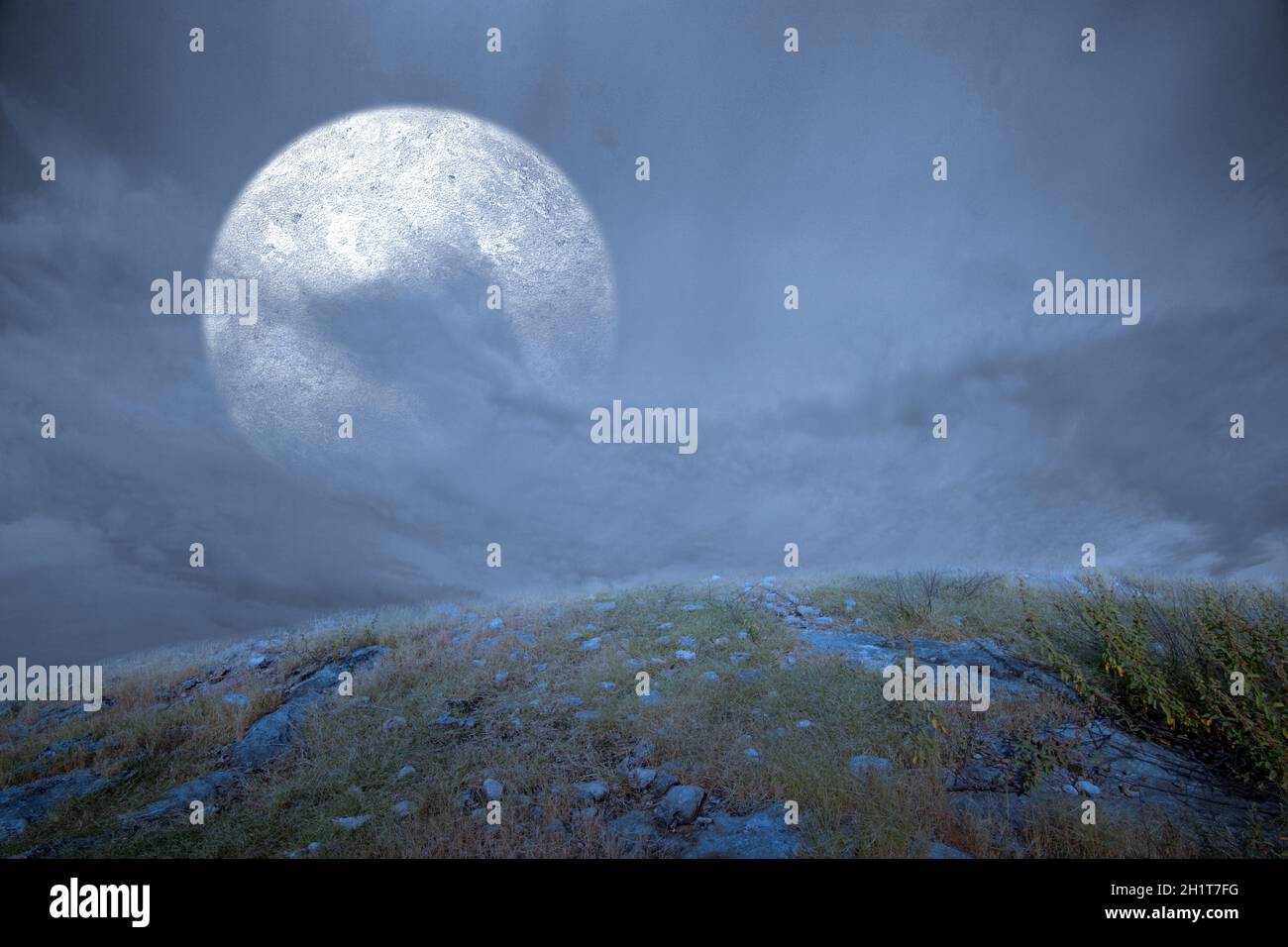 Field with the night scene background Stock Photo - Alamy