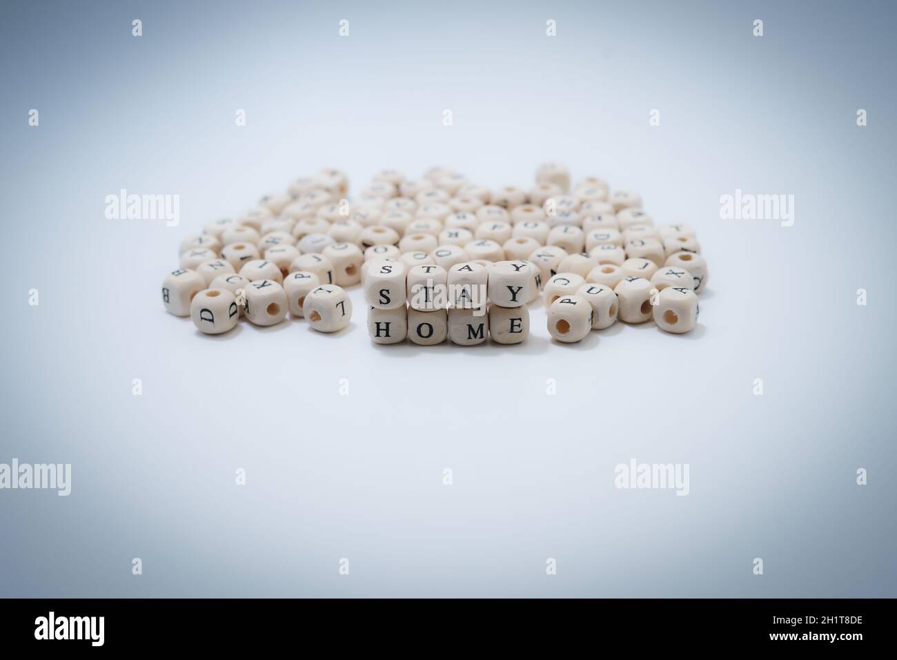 Stay home of the tree of (STAY HOME) block. Shooting Location: Yokohama ...