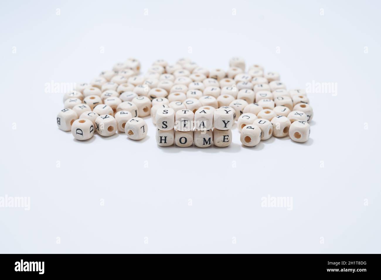 Stay home of the tree of (STAY HOME) block. Shooting Location: Yokohama ...