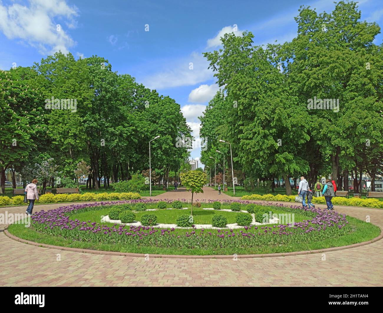 Spring park with blooming flower bed. People walk in city park in ...
