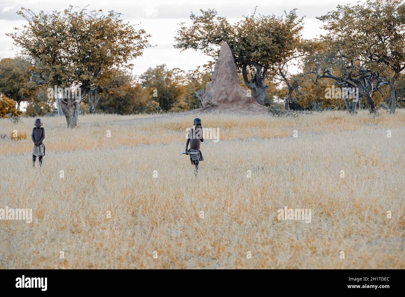 NAMIBIA, OMUSATI REGION, MAY 7: The Himba boys in early cold morning in ...