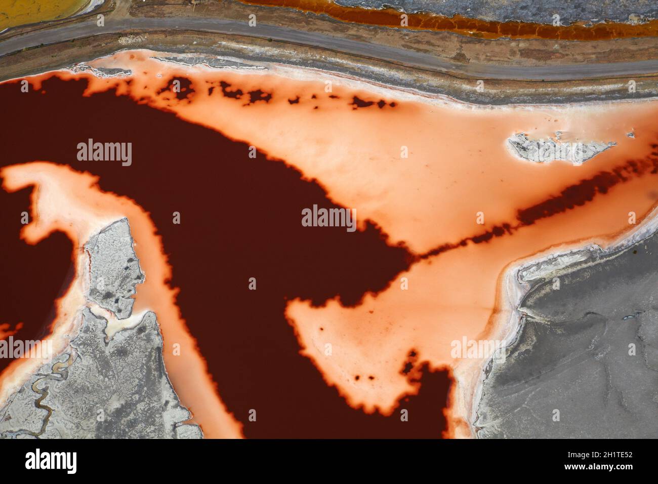 Algae bloom sea usa hi-res stock photography and images - Alamy