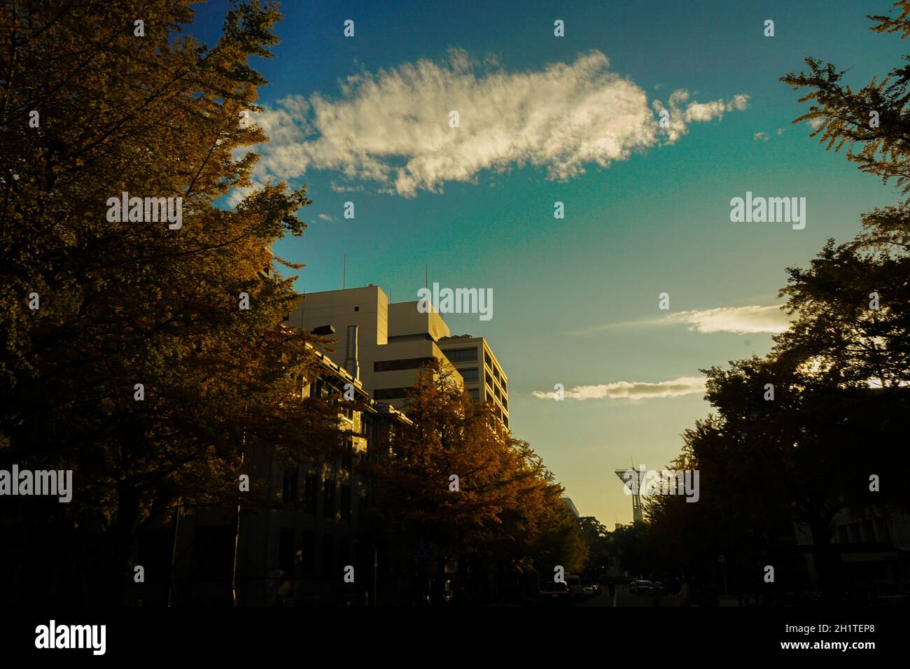 Japan boulevard hi-res stock photography and images - Alamy