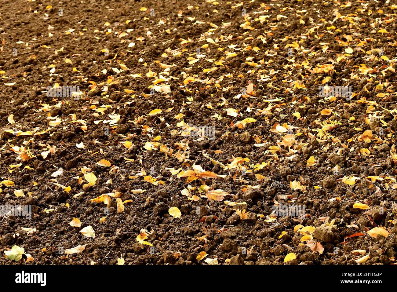 Ploughed and harrowed hi-res stock photography and images - Alamy