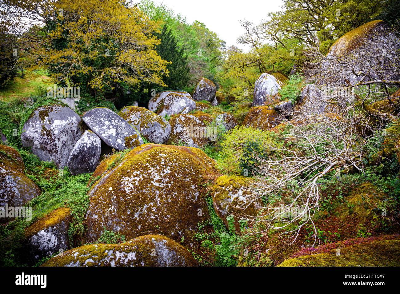 Boulders in the forest at Huelgoat in Brittany, France Stock Photo - Alamy