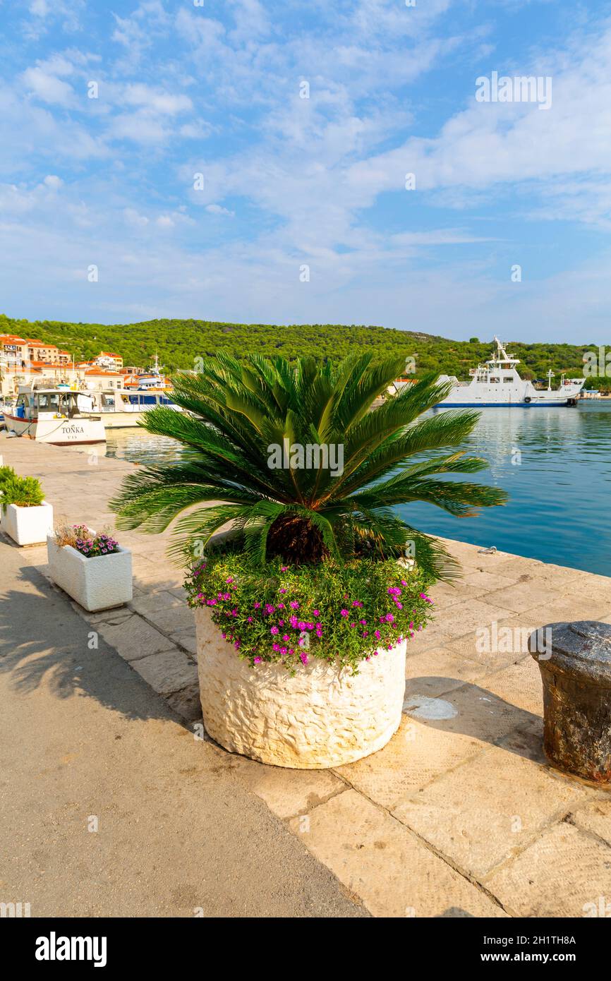 A boulevard on the Adriatic Sea, a port for yachts and cruise ships and ...