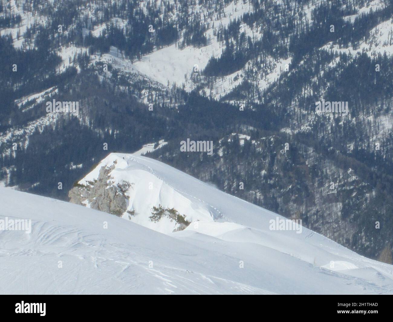View of the snowy forested mountains from a snowy peak Stock Photo - Alamy