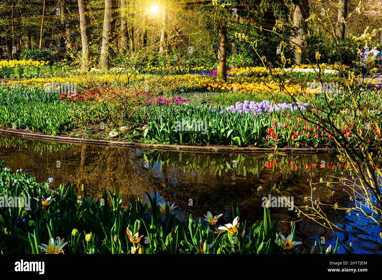 Colorful garden landscape and grassy lawn Stock Photo - Alamy