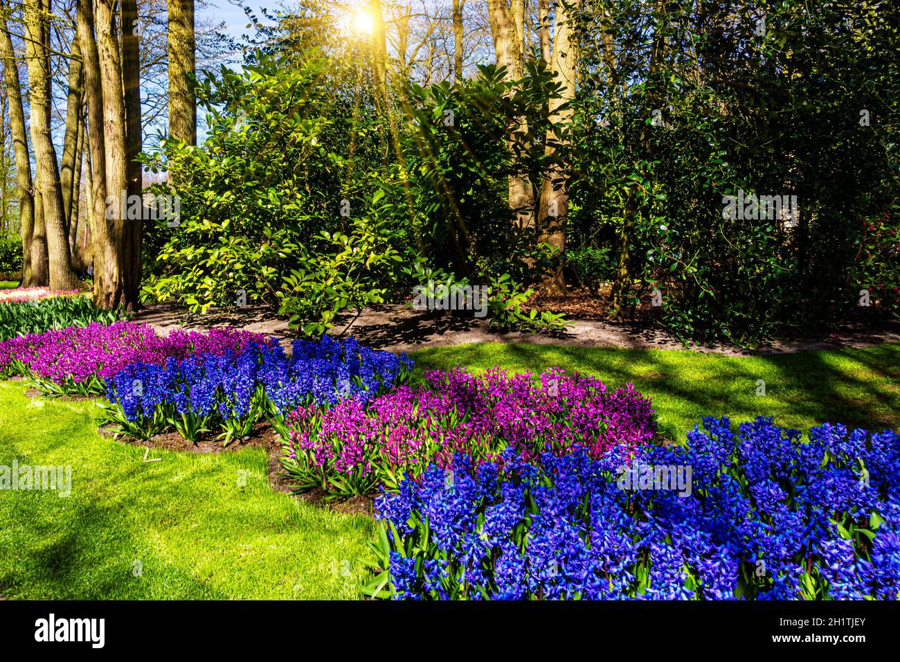 Colorful garden landscape and grassy lawn Stock Photo - Alamy