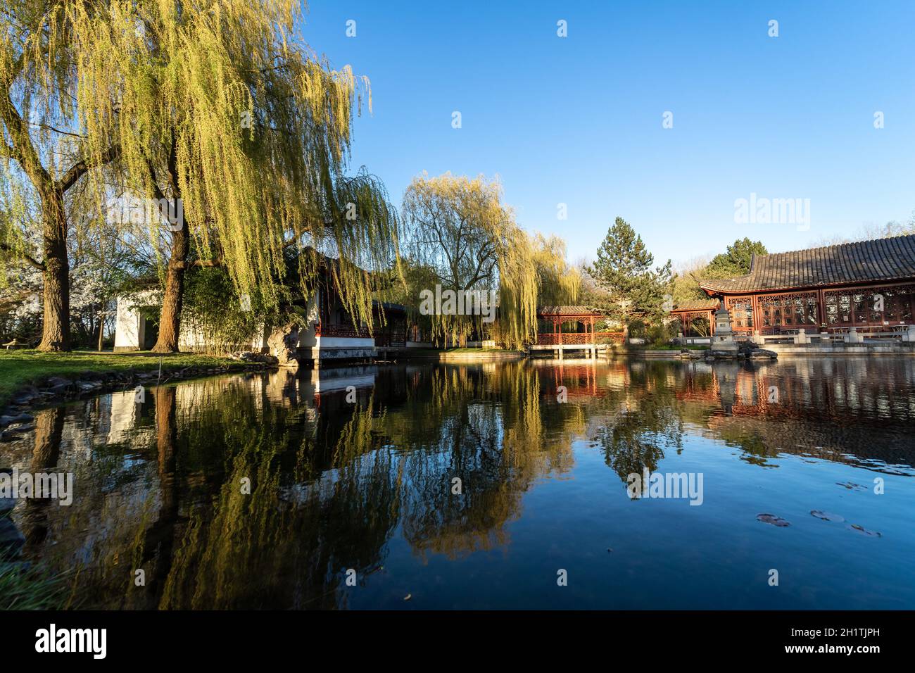 Chinese pagoda near the lake. Spring landscape Stock Photo - Alamy