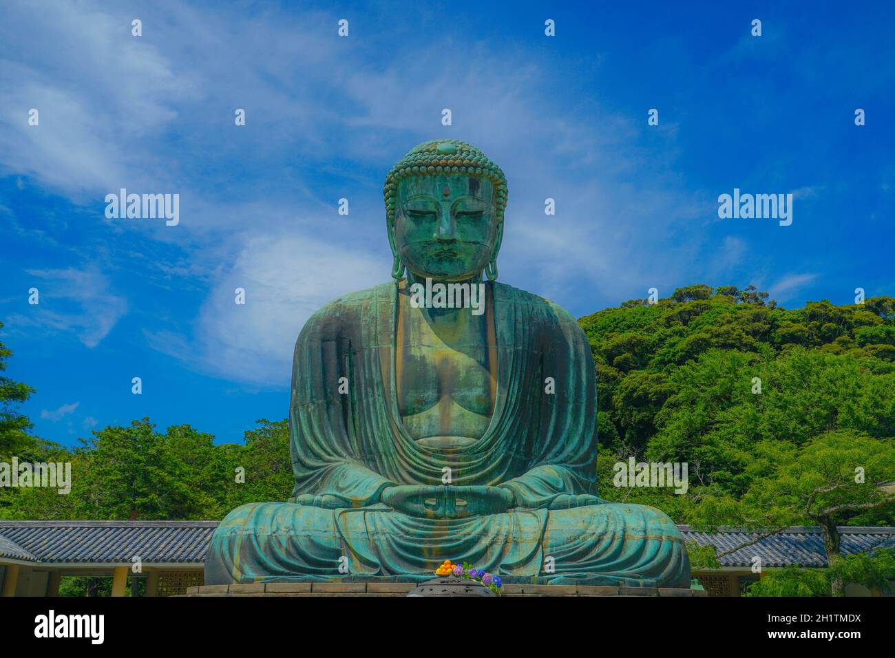 Early summer of the Great Buddha of Kamakura, which was wrapped in ...