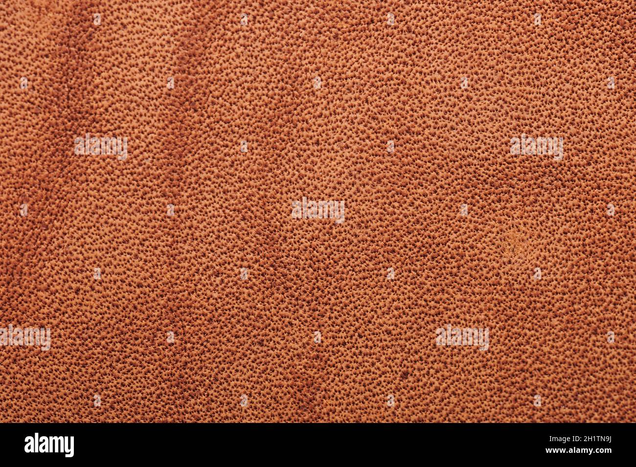 Brown leather texture background with real dots macro close up view ...