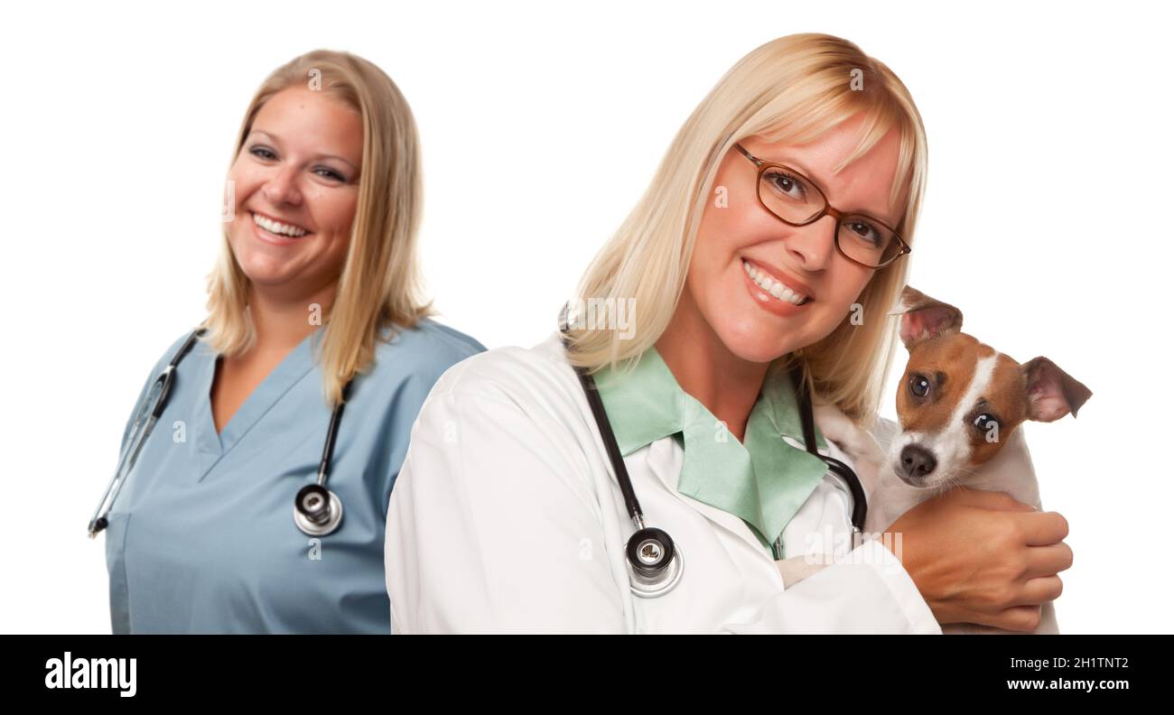 Blonde girl dog vet hi-res stock photography and images - Alamy