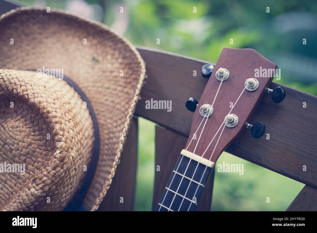 Ukulele on a wooden park bench in summer, green area in the blurry ...