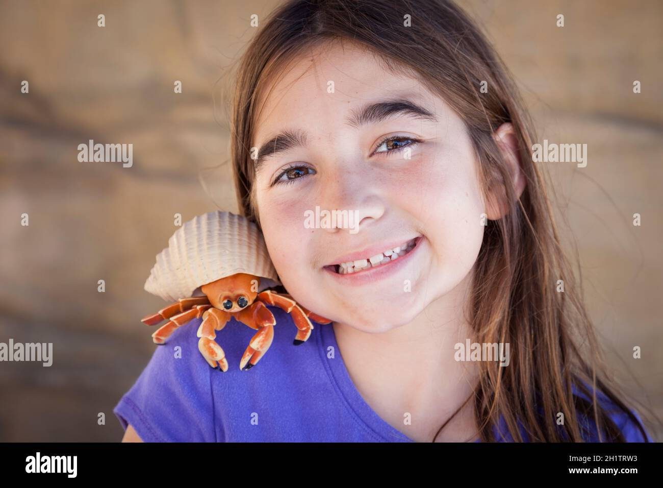 Hermitcrab hi-res stock photography and images - Alamy