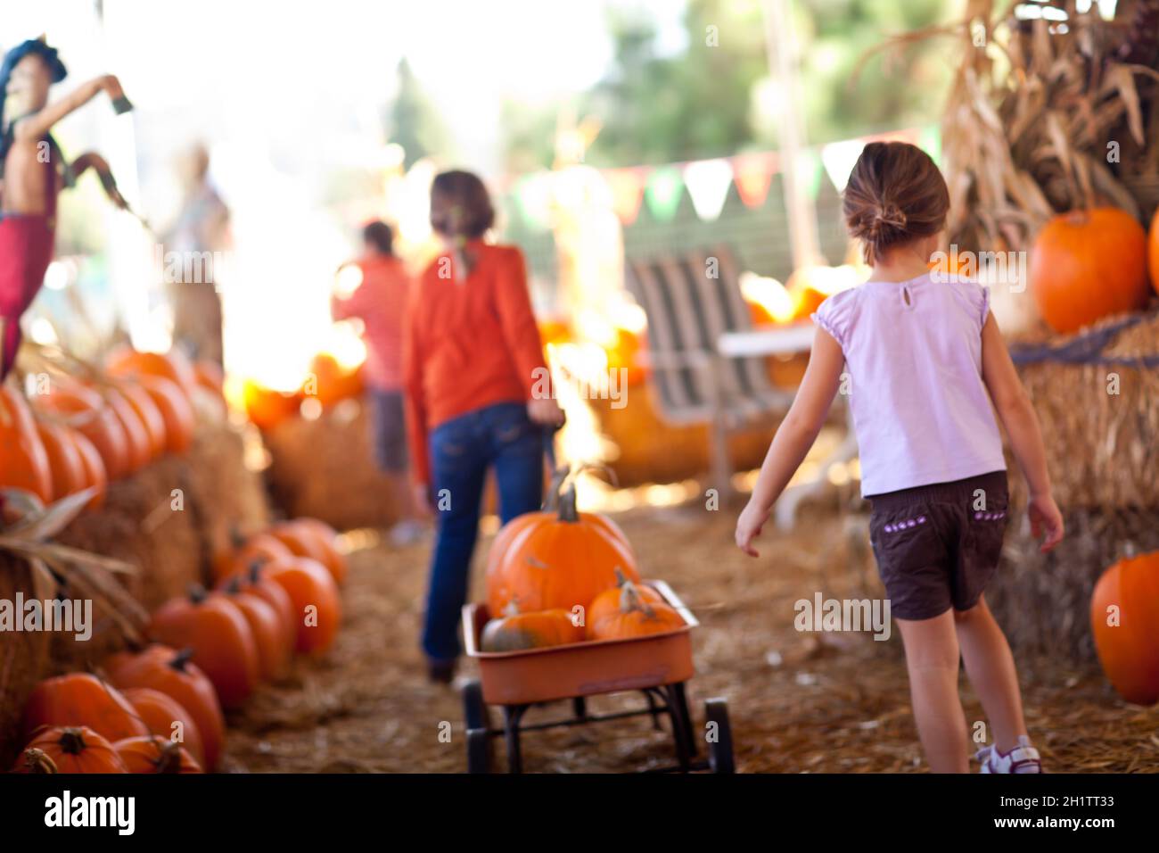 Cute Little Girls Pulling Their Pumpkins In A Wagon At A Pumpkin Patch ...