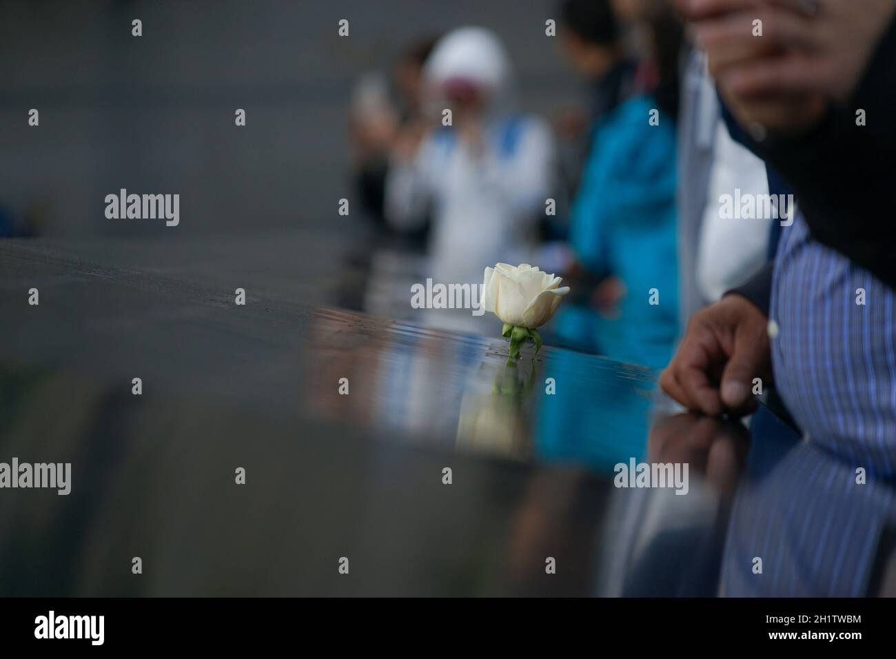 Ground Zero of Rose (White Rose). Shooting Location: New York ...