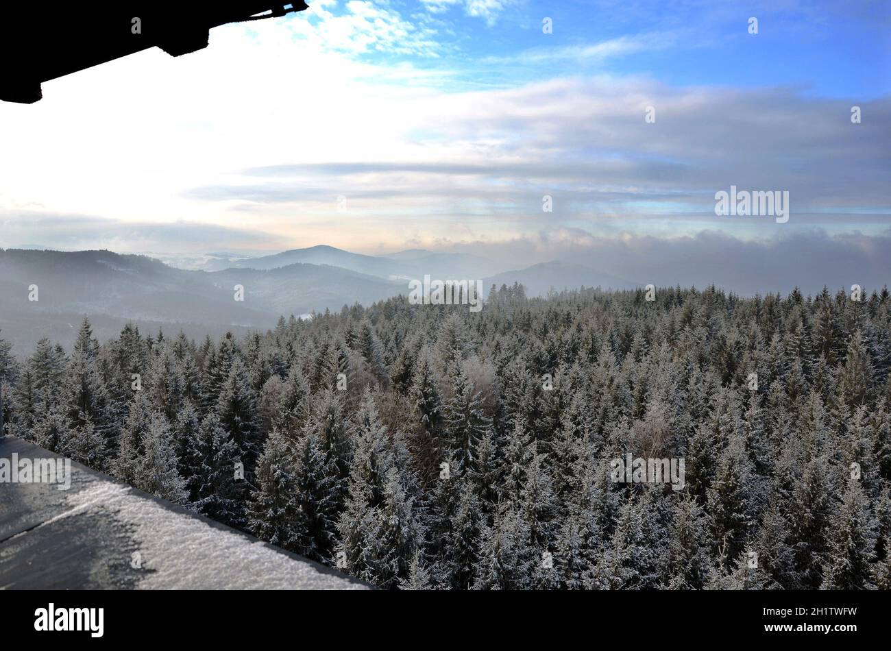 Fichte hintergrund hi-res stock photography and images - Alamy