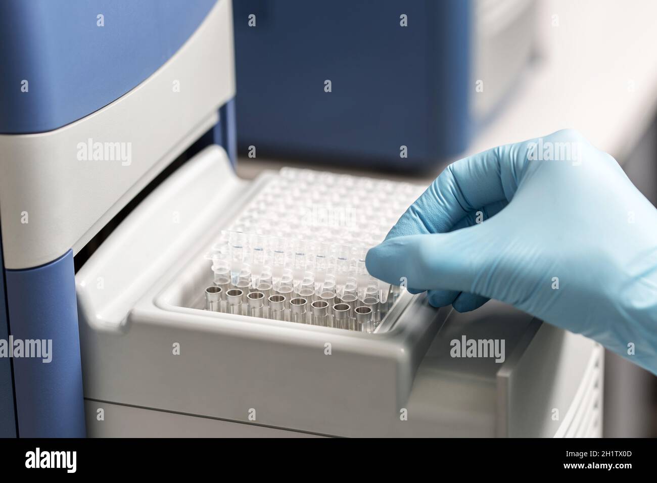 A set of glass tubes for samples. Laboratory chemical equipment Stock ...