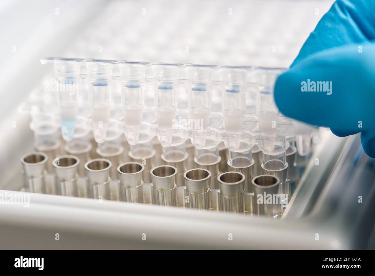 A set of glass tubes for samples. Laboratory chemical equipment Stock ...