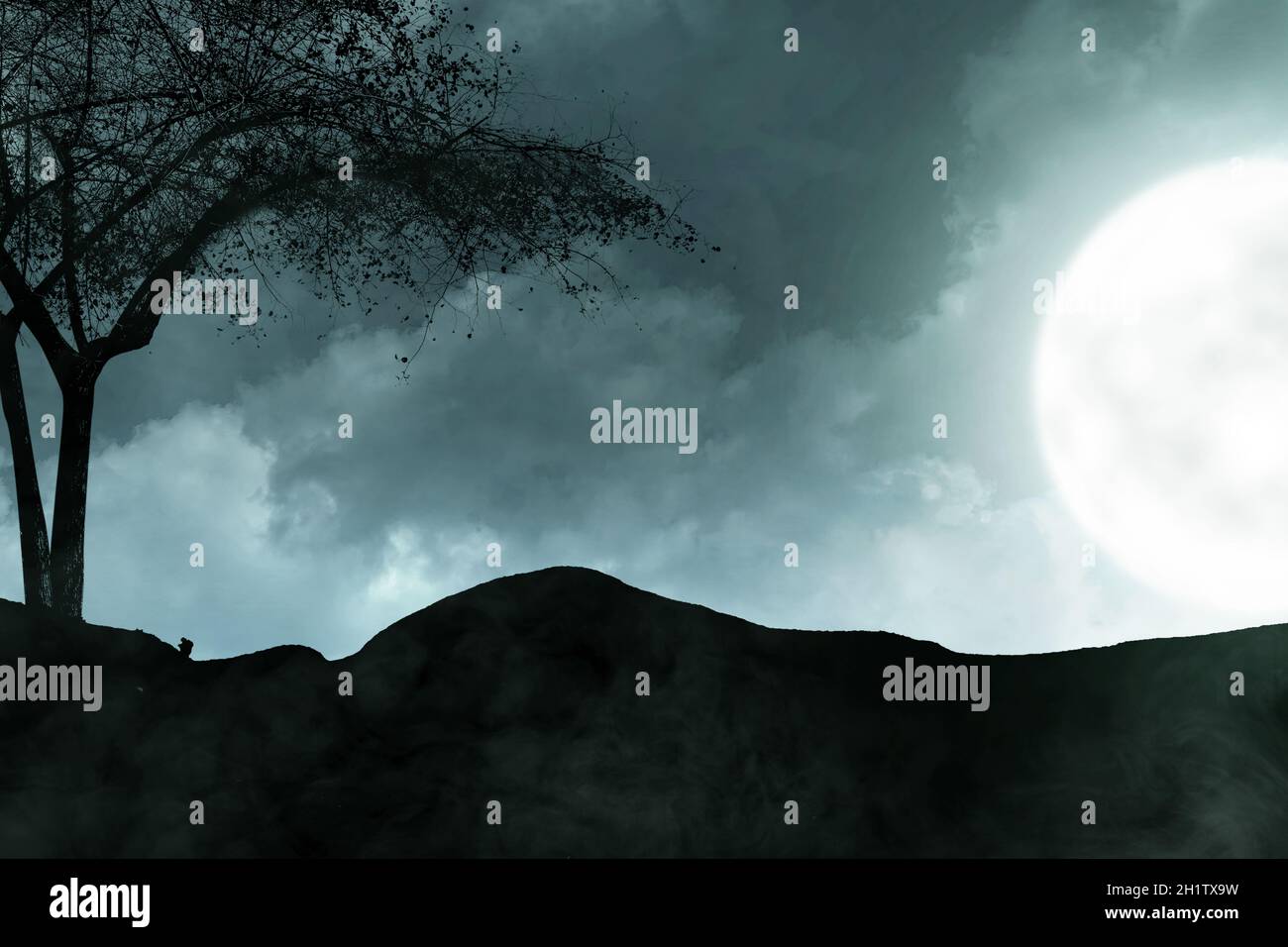 Field with the night scene background Stock Photo - Alamy